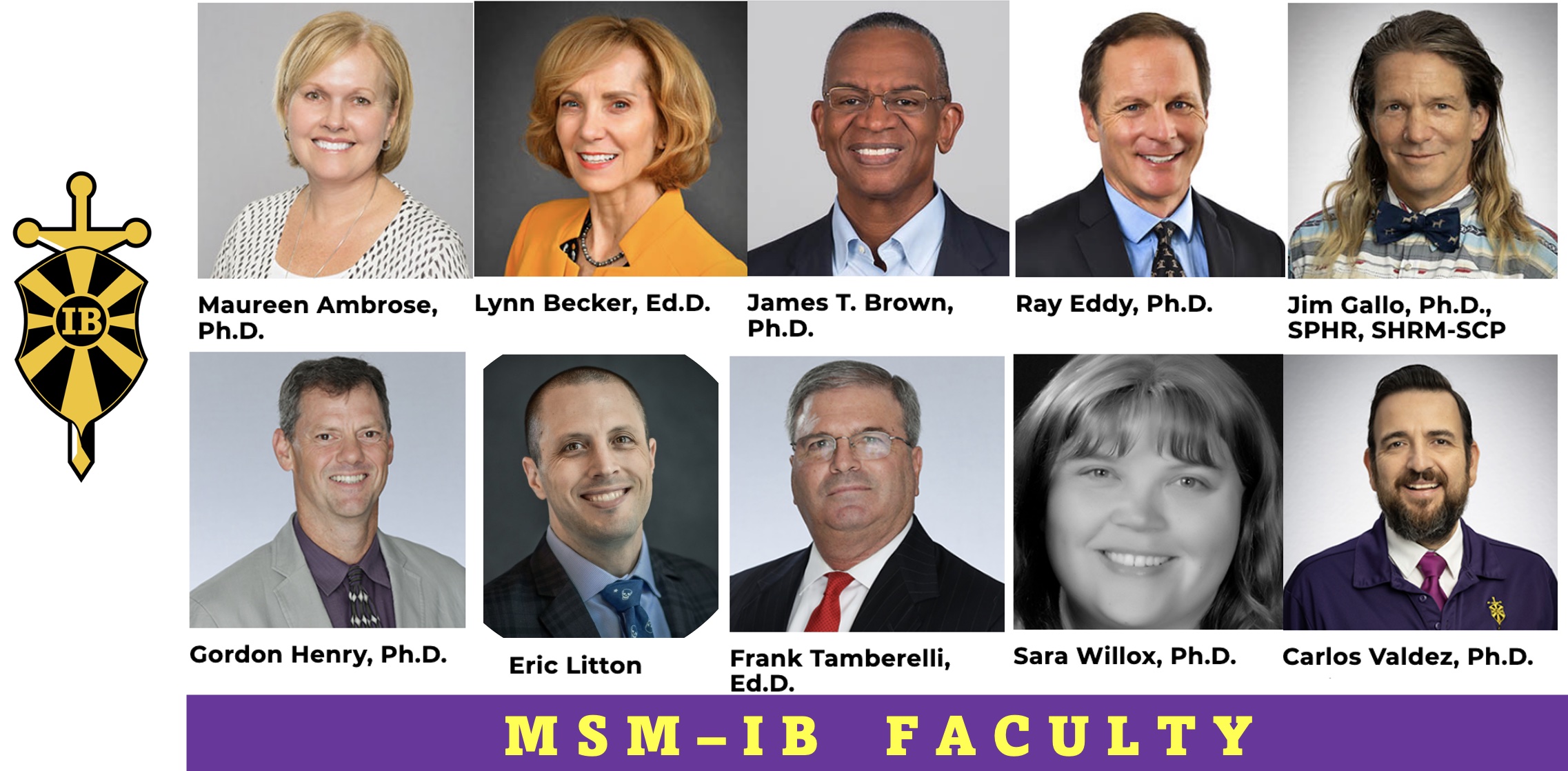 MSM-IB Faculty – Integrated Business Blog